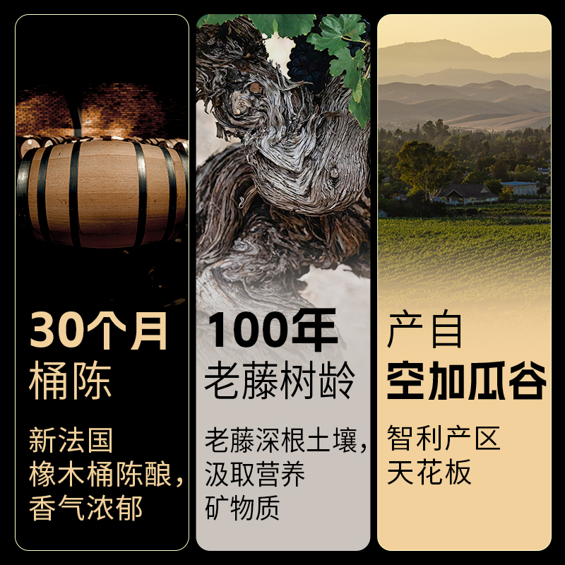 aoyo傲鱼黑金R10盛限量珍藏赤霞珠西拉味而多红葡萄酒750ML - aoyo傲鱼红酒官网